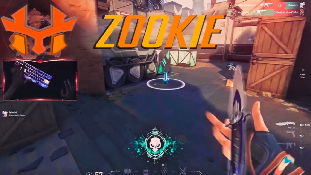 Introducing Horrid Zookie | (A VALORANT MONTAGE) - YouTube
