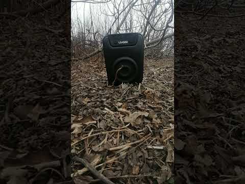 Göydə Bir Ulduz Var Adı Talıbdı Düşüb Yenə Lənkəranda Qalıbdı (Silinən Qayifə)