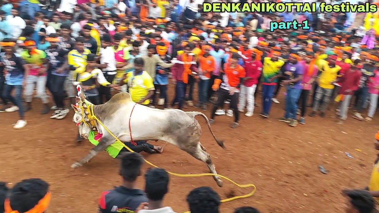 DENKANIKOTTAI festivals part-1 @msbull8651 - YouTube