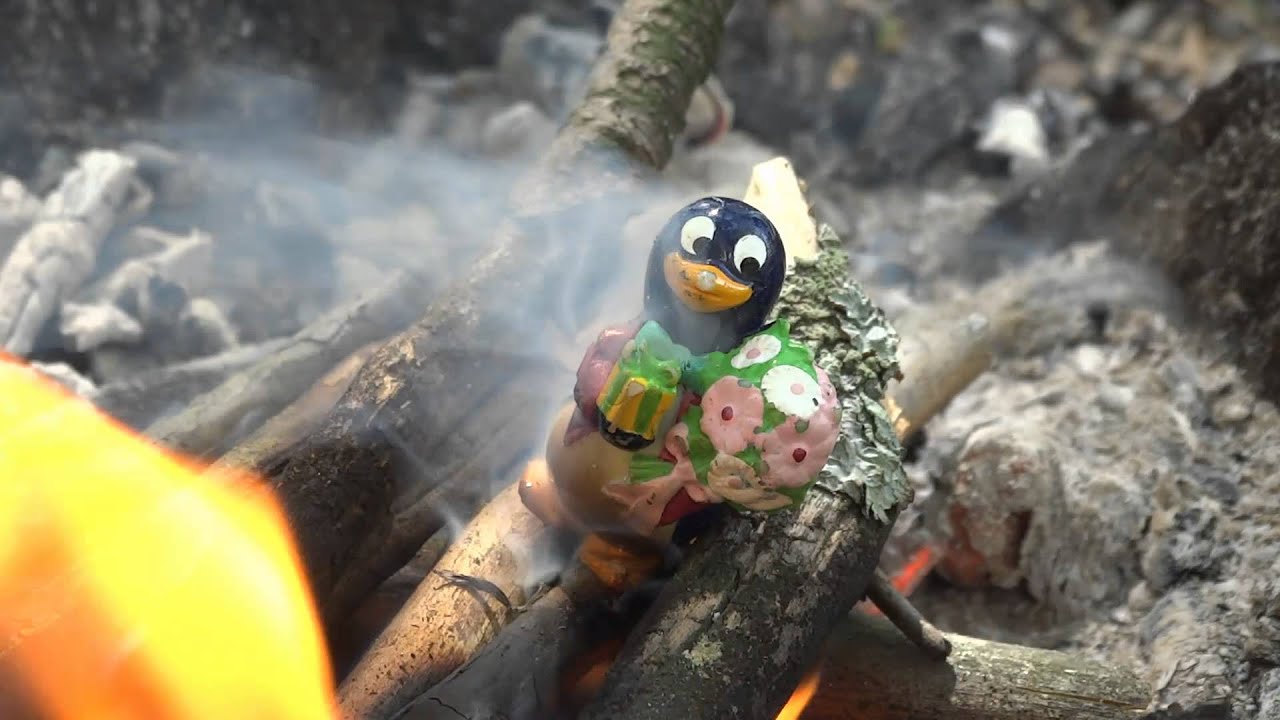 Penguin burn, penguin burns in the fire - YouTube