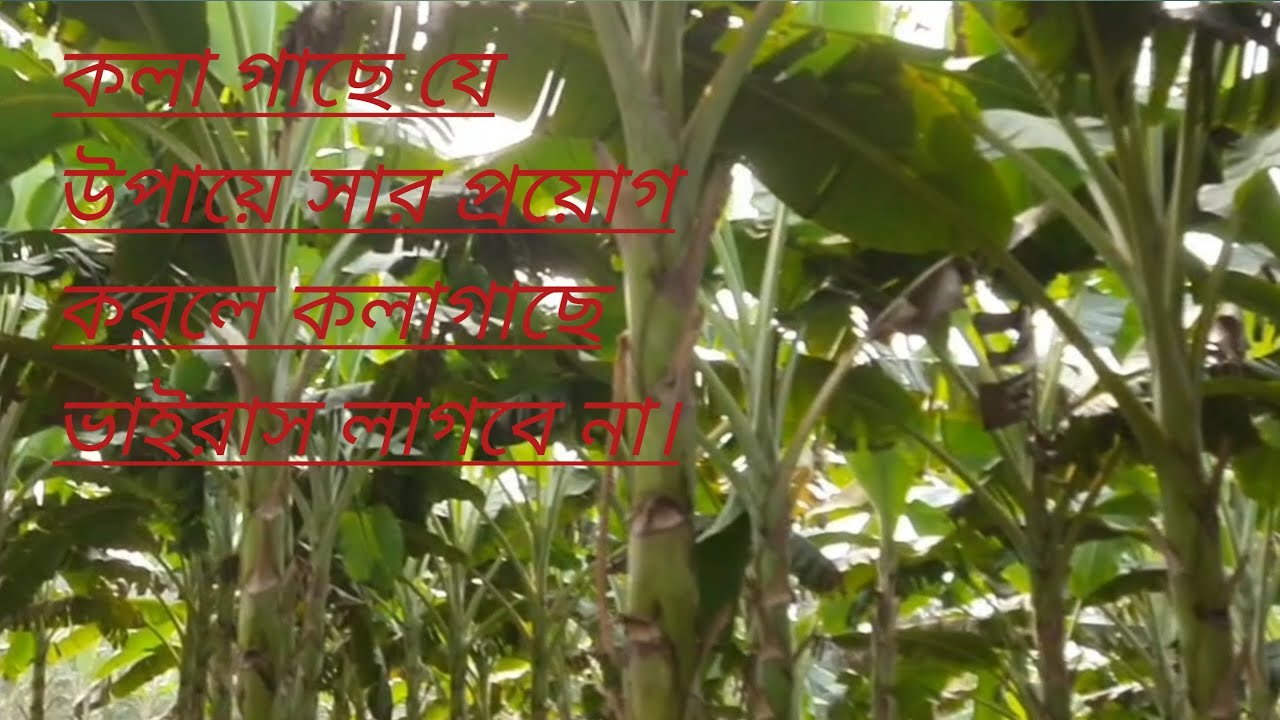 YouTube youtube