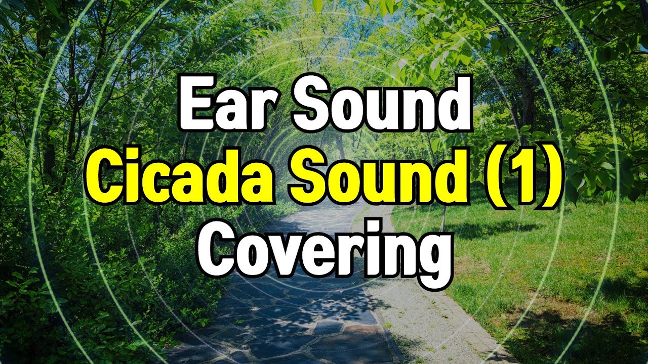 Cicada Sound 01 - High-Frequency Covering for Buzzing & Ringing Ear Sounds - YouTube