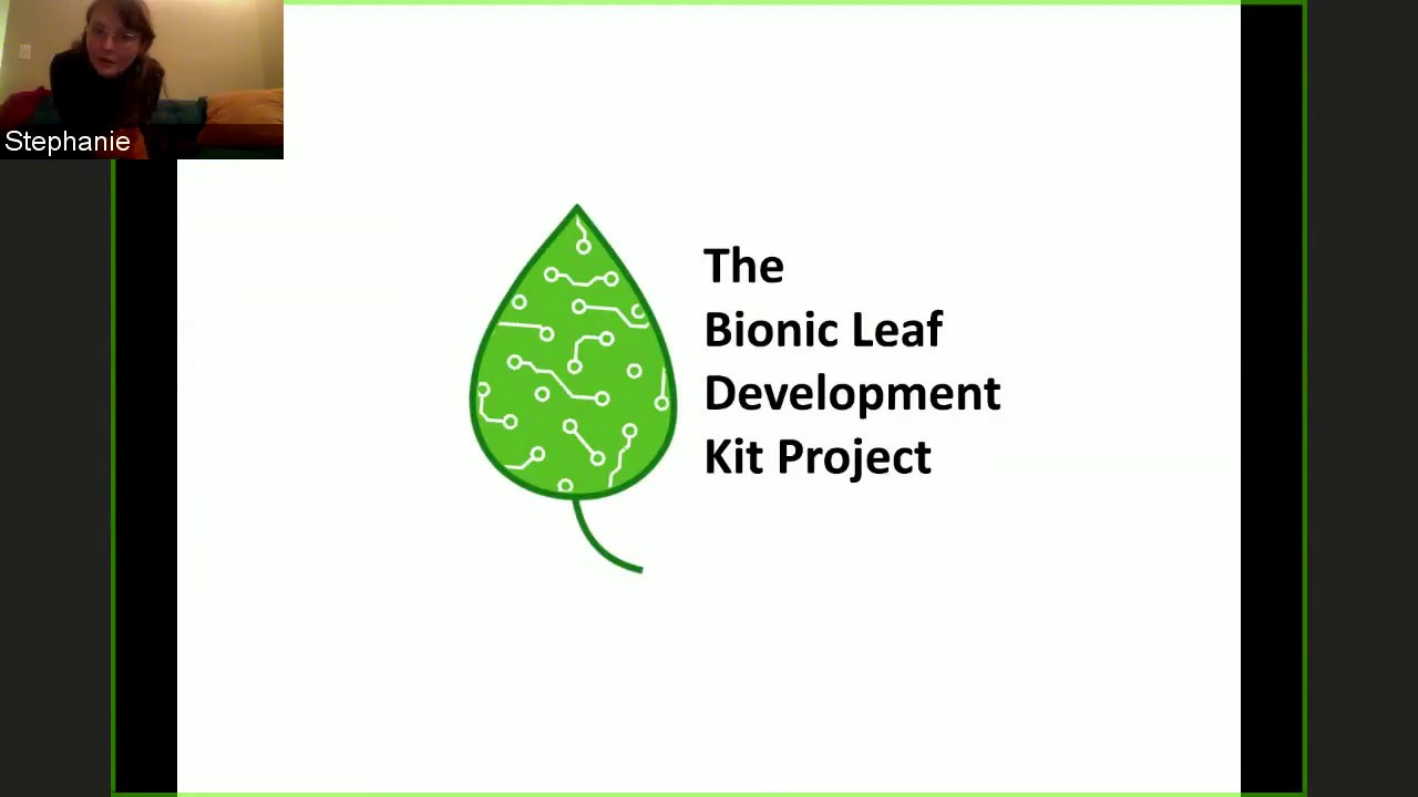 BIONIC LEAF DEVELOPMENT KIT PROJECT MEETUP oct272017 - YouTube