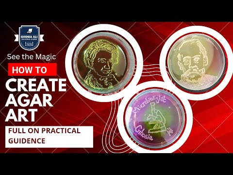 How to create Agar Art | Agar Art Competition - YouTube