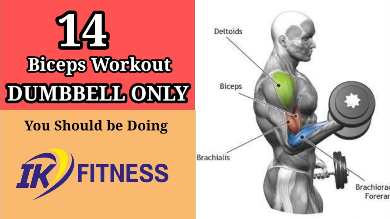 14 BICEPS WORKOUT (DUMBBELLS ONLY) // IK Fitness Gym - YouTube