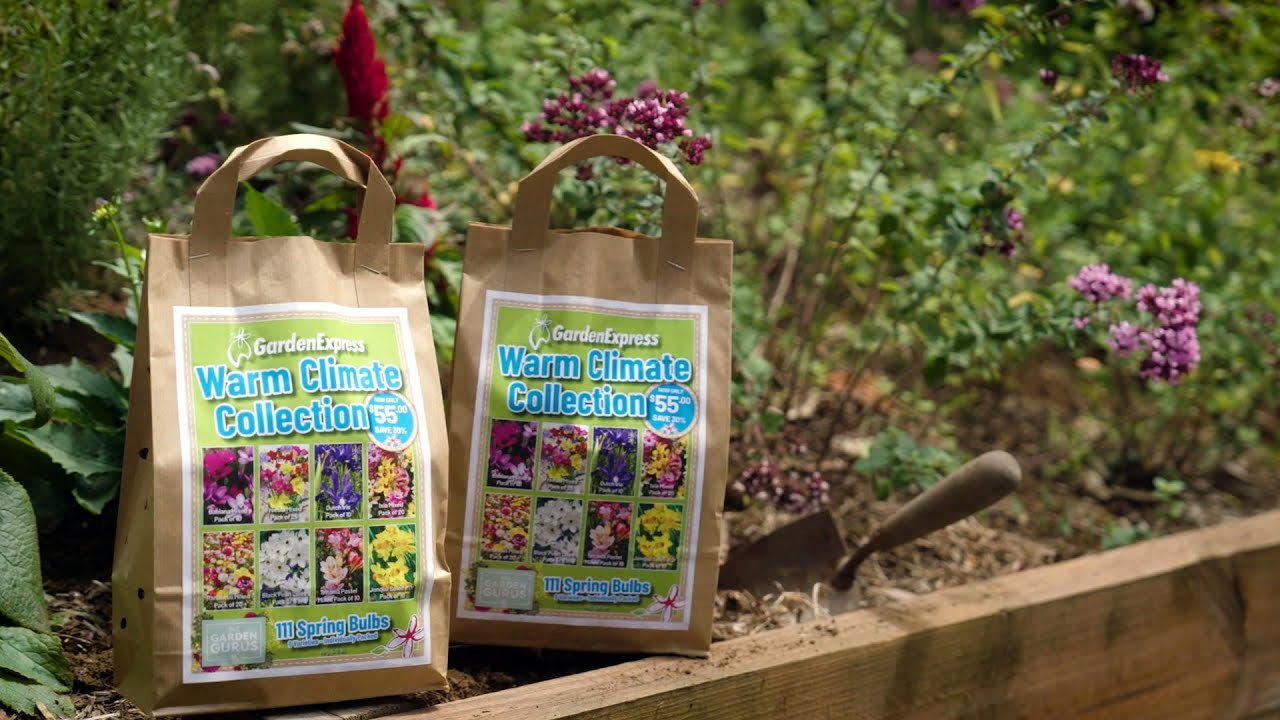 The Garden Gurus - Plant Deal of the Week Spring Bulbs - YouTube