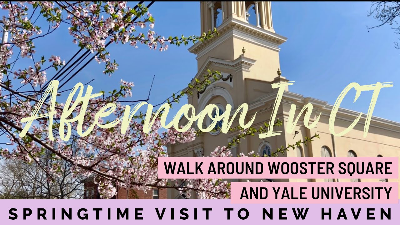 New Haven CT YALE and Wooster square cherry blossoms - YouTube