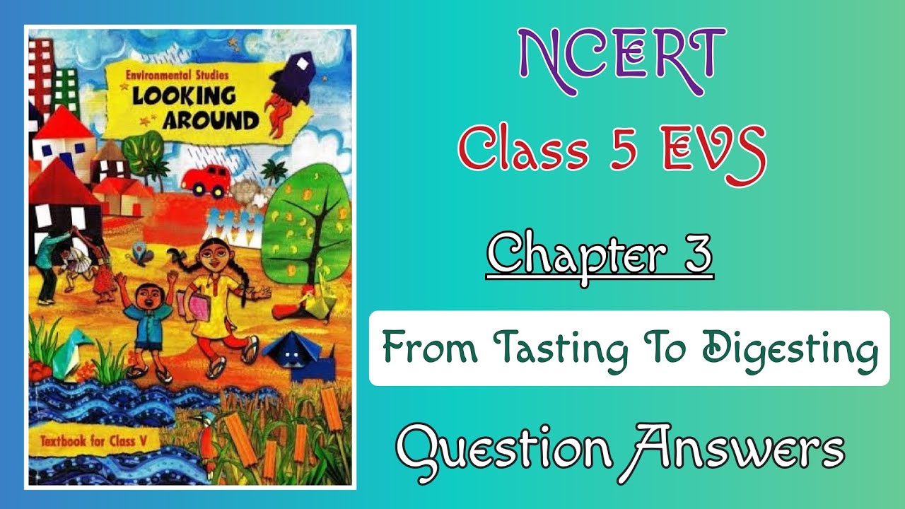 Class 5 EVS Chapter 3 From Tasting To Digesting // NCERT // Question ...