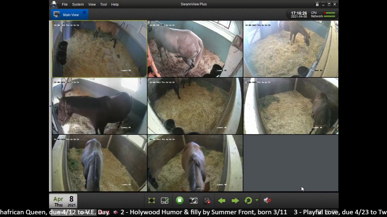 Country Life Foaling Cameras - YouTube