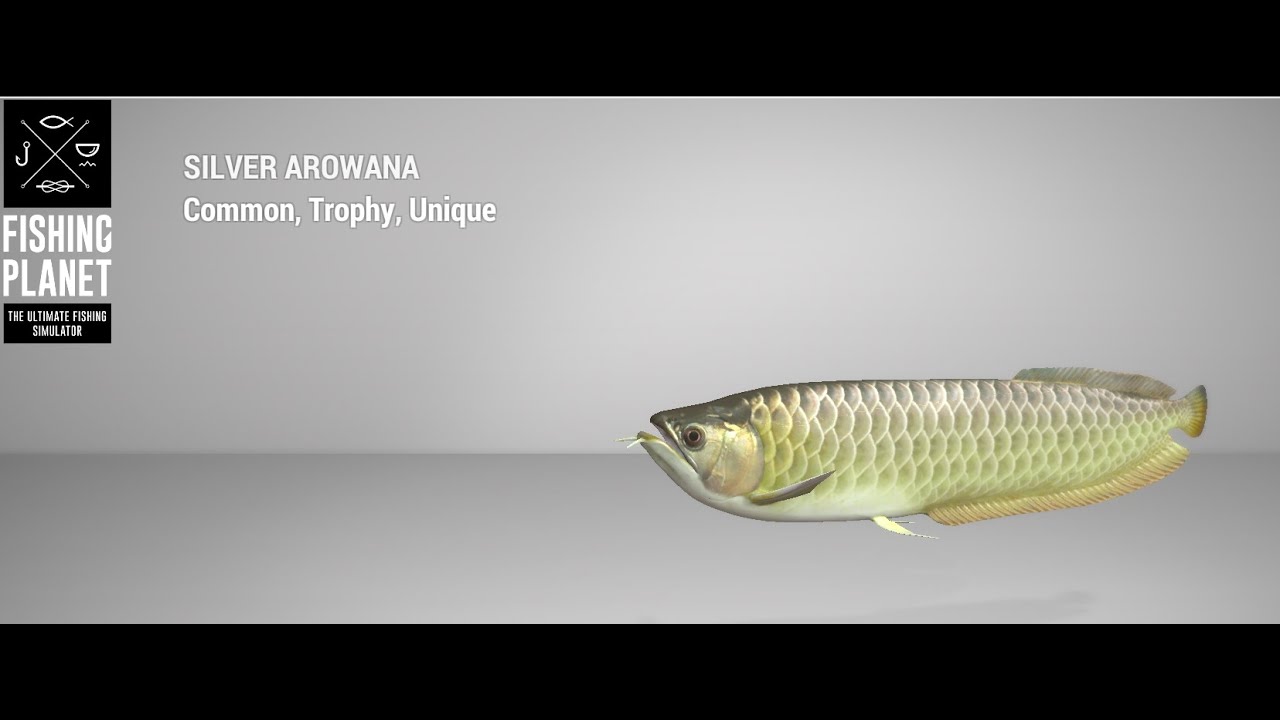Fishing Planet - Maku-Maku Lake - Unique - Silver Arowana - Bottom ...