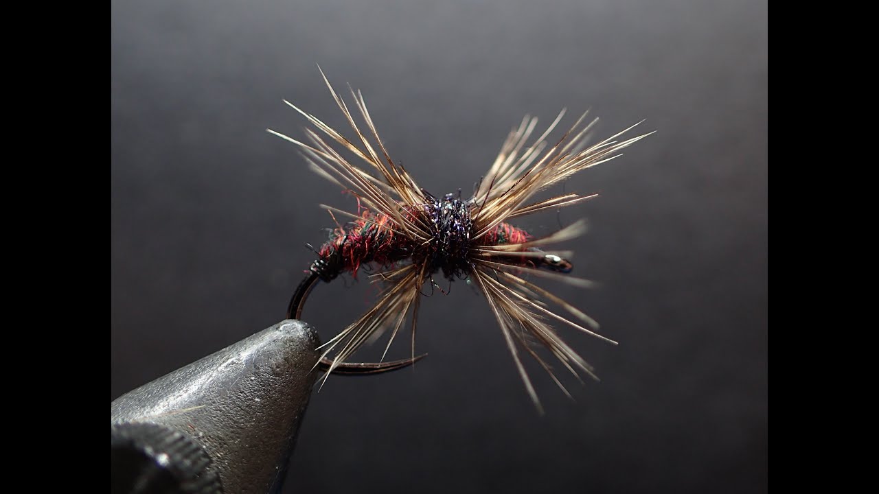 Ruby Gnarly Fly - YouTube