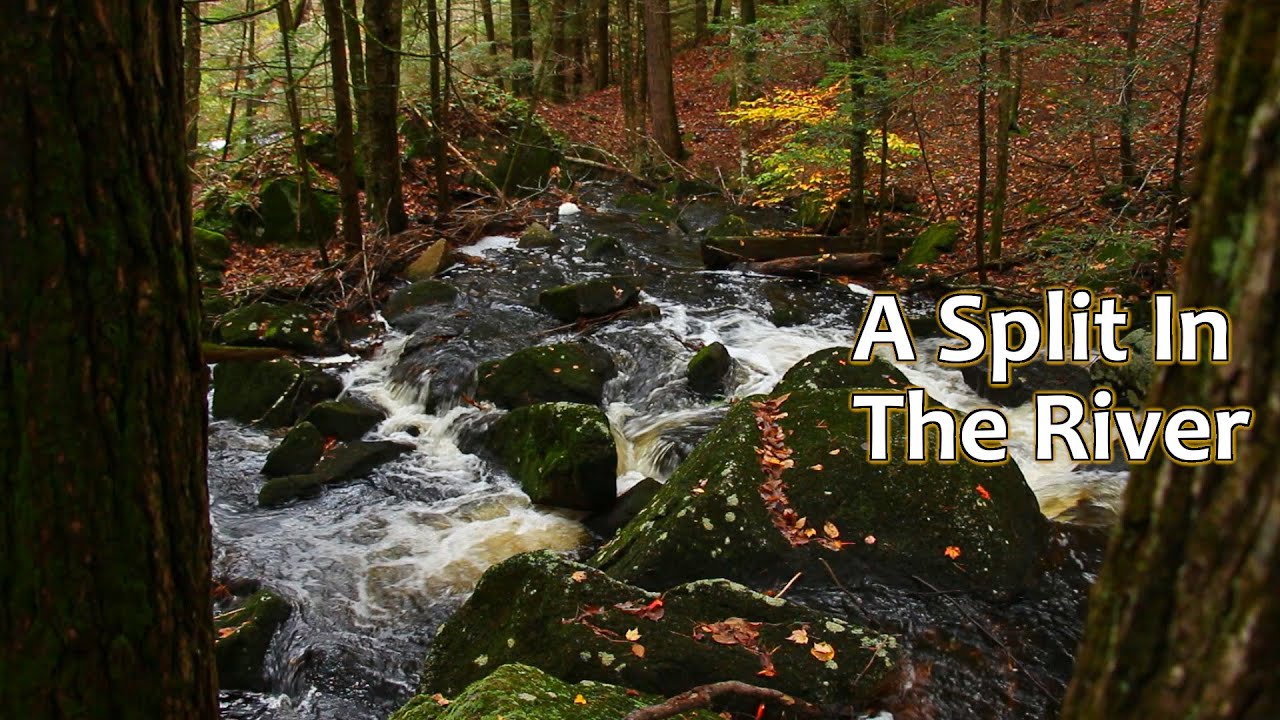 A Split In The River - Relaxing Sleep Sounds - 10 Hours - YouTube