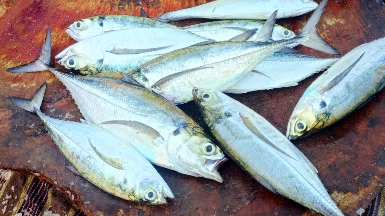 Thenga Paarai Meen Cutting Skill / Asian Fish Market / ₹.600 CT 360*🔪 ...