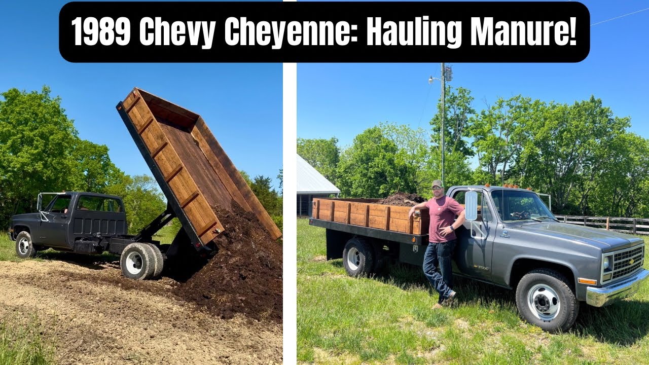 1989 Chevy Farm Truck: Hauling loads of manure for our gardens! - YouTube