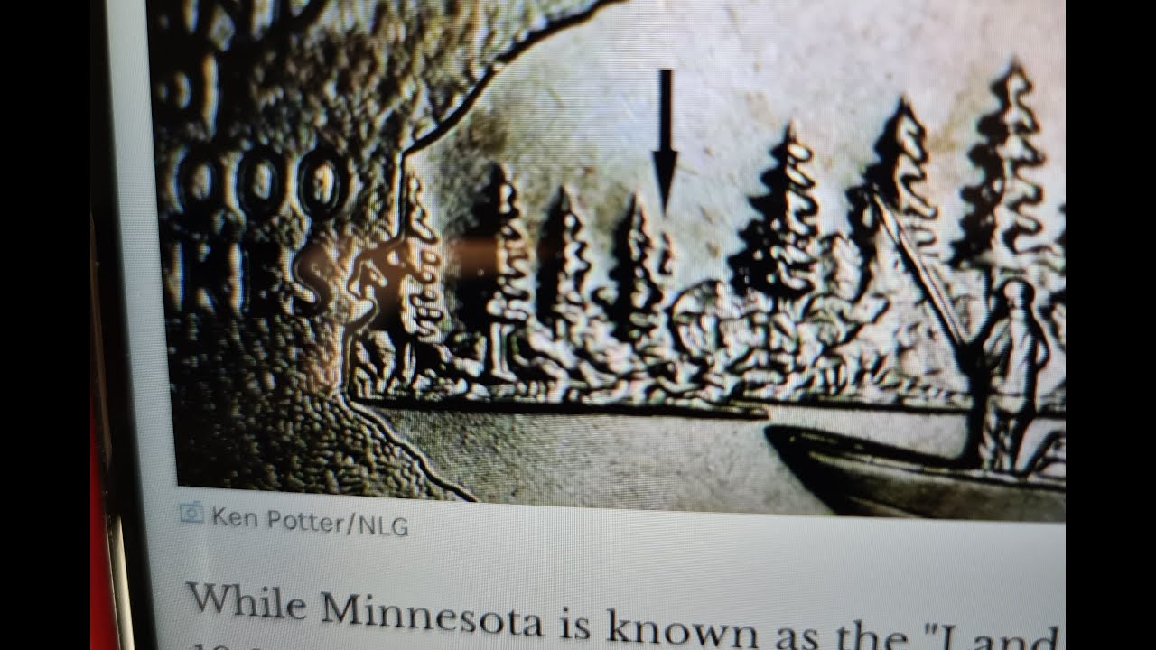 The Minnesota Extra Tree Quarter. - YouTube