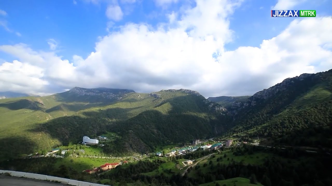 Zominning o'rmon xo'jaligi rivojlanmoqda. I Yashil Olam - YouTube