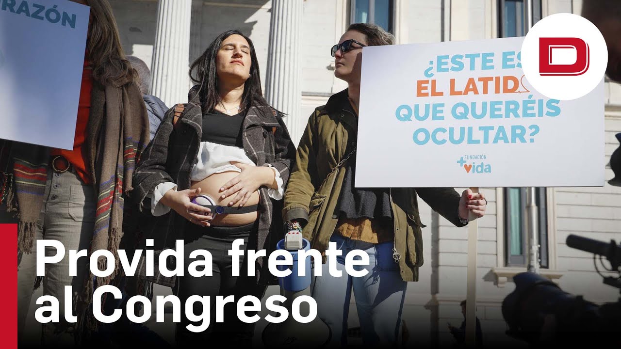 Los provida se concentran en el Congreso para ser «la voz de los que no ...