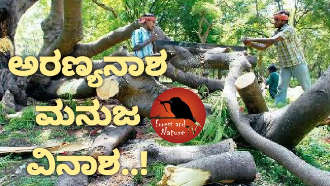 ಅರಣ್ಯನಾಶ ಮನುಜ ವಿನಾಶ.Forest and nature tv kannada - YouTube