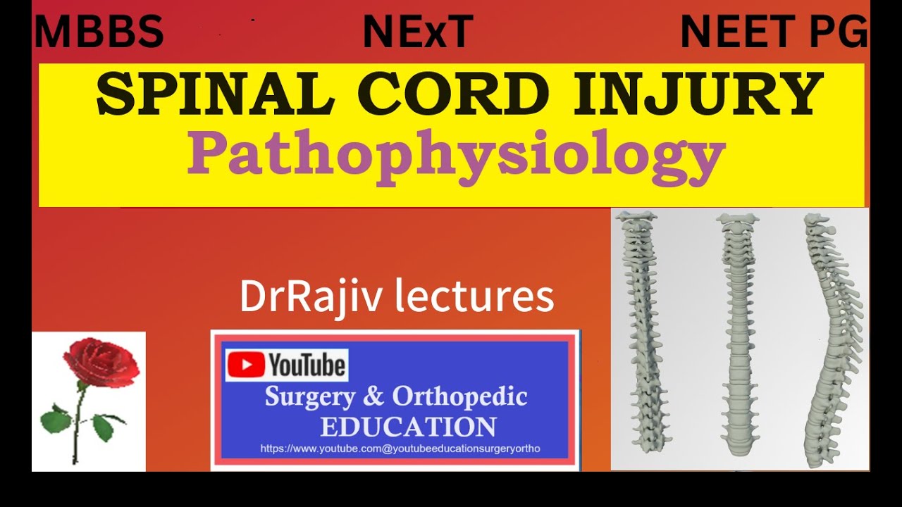 SPINAL CORD INJURY | PATHOPHYSIOLOGY | DrRajiv lectures - YouTube