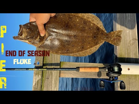 New Jersey Fluke season 2021 Finale at the Pier Keepers on !! (light ...
