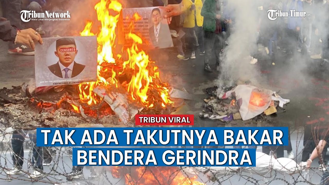 Demo Mahasiswa Bakar Bendera Gerindra dan Foto Mayor Teddy - YouTube