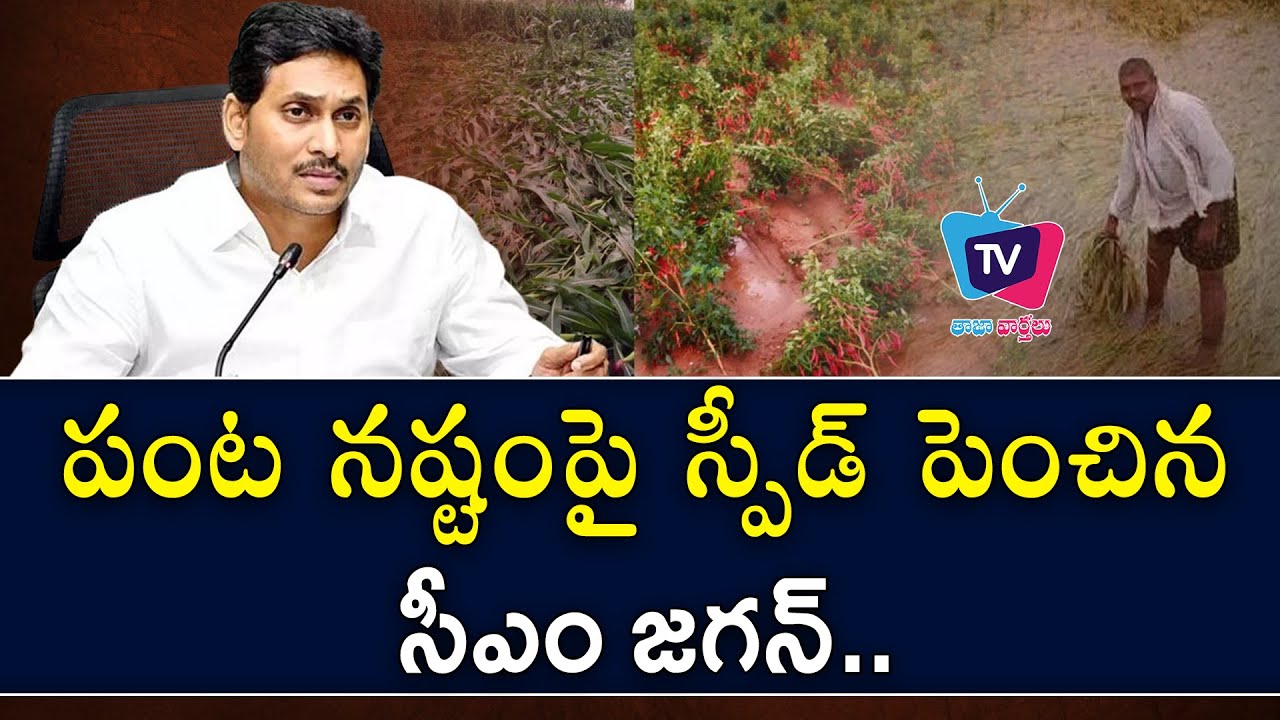 CM Jagan Mohan Reddy Meeting along with Higher Officials On Michang ...
