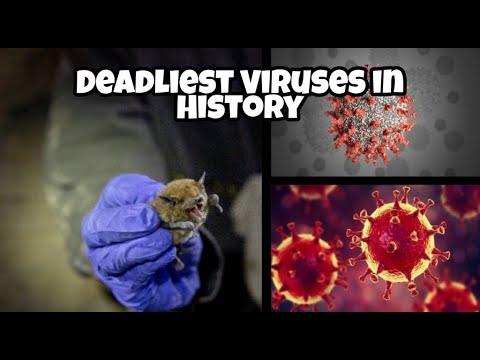 The Deadliest Viruses in History - YouTube