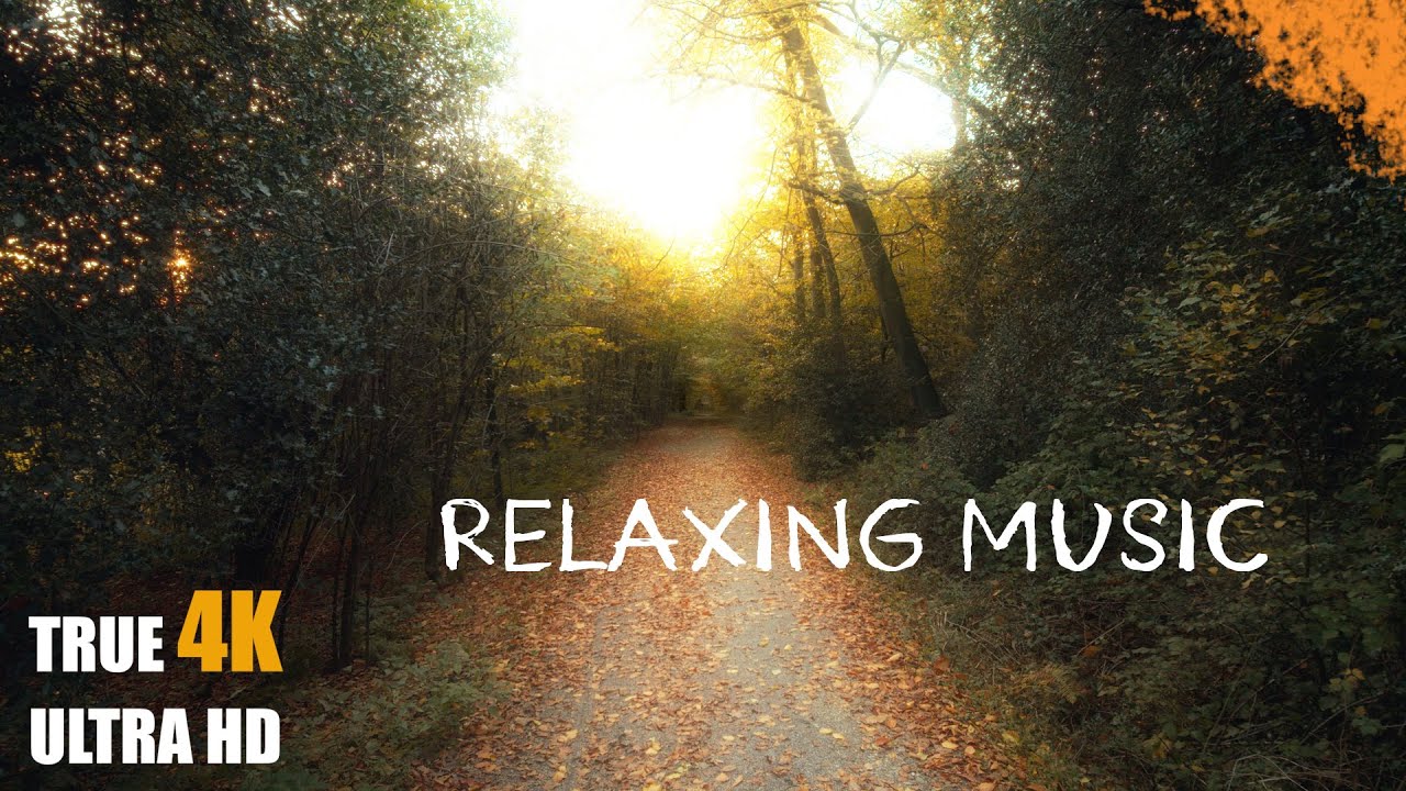 Relaxing Music with Nature Sounds • Stress Relief • Music for Sleep ...
