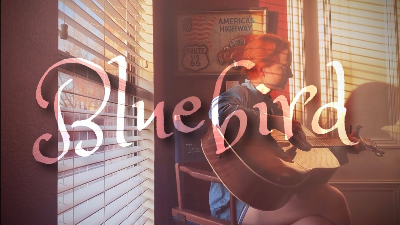 Bluebird - Miranda Lambert【Cover】 - YouTube