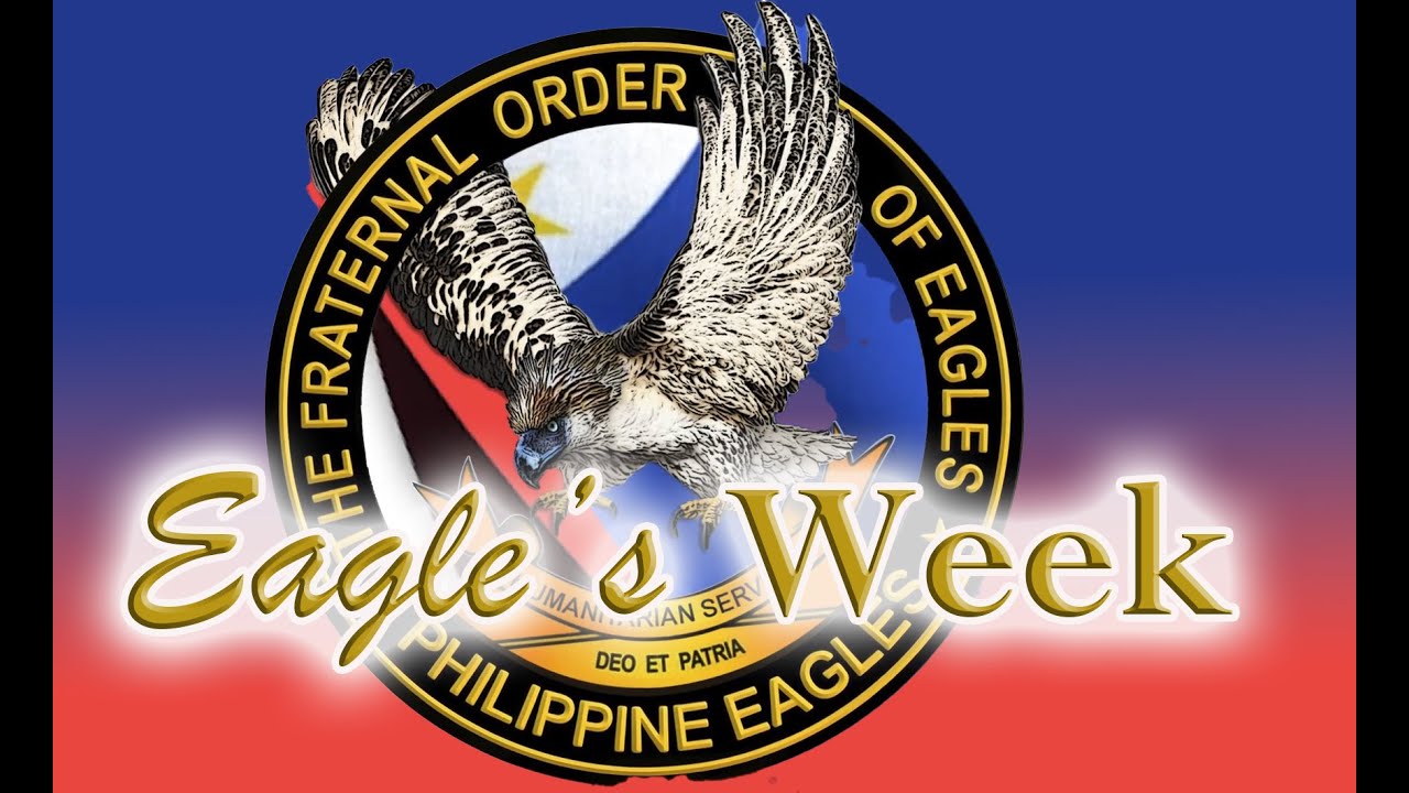 Celebrating TFOE-Philippine Eagle's Week! - YouTube