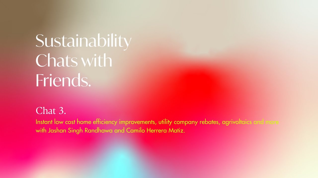 Sustainability Chats with Friends: 3 - YouTube