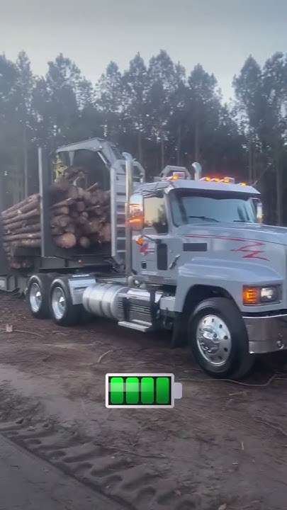 South Carolina logging 4m logging - YouTube