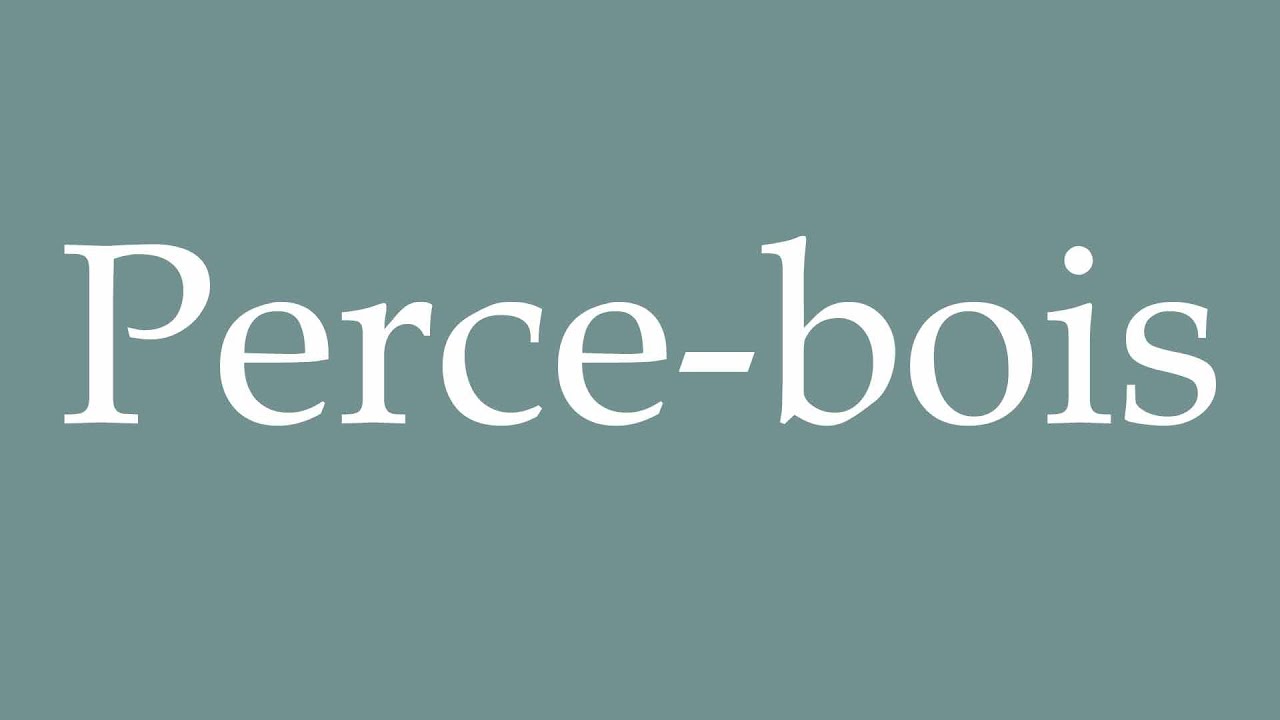 How to Pronounce ''Perce-bois'' (Wood borer) Correctly in French - YouTube
