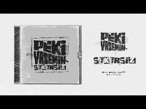 Bazı Şeyler Şarkıya Sığmıyor Sevgilim