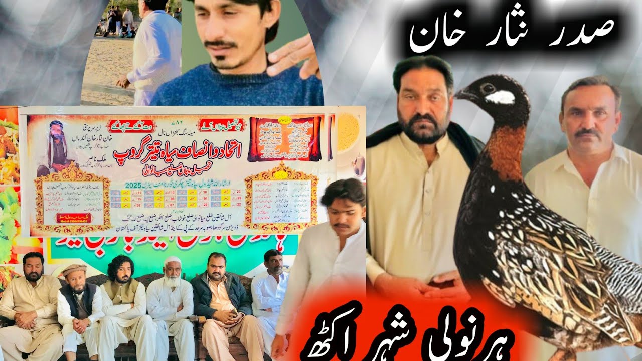 Harnoli sher ikath siaah teter soqeen ka tahseel levell py - YouTube