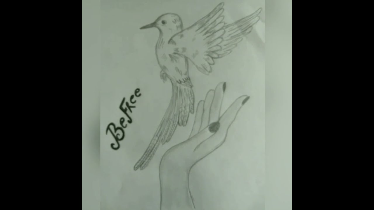 Drawing | Bird in hand pencil sketch | - YouTube