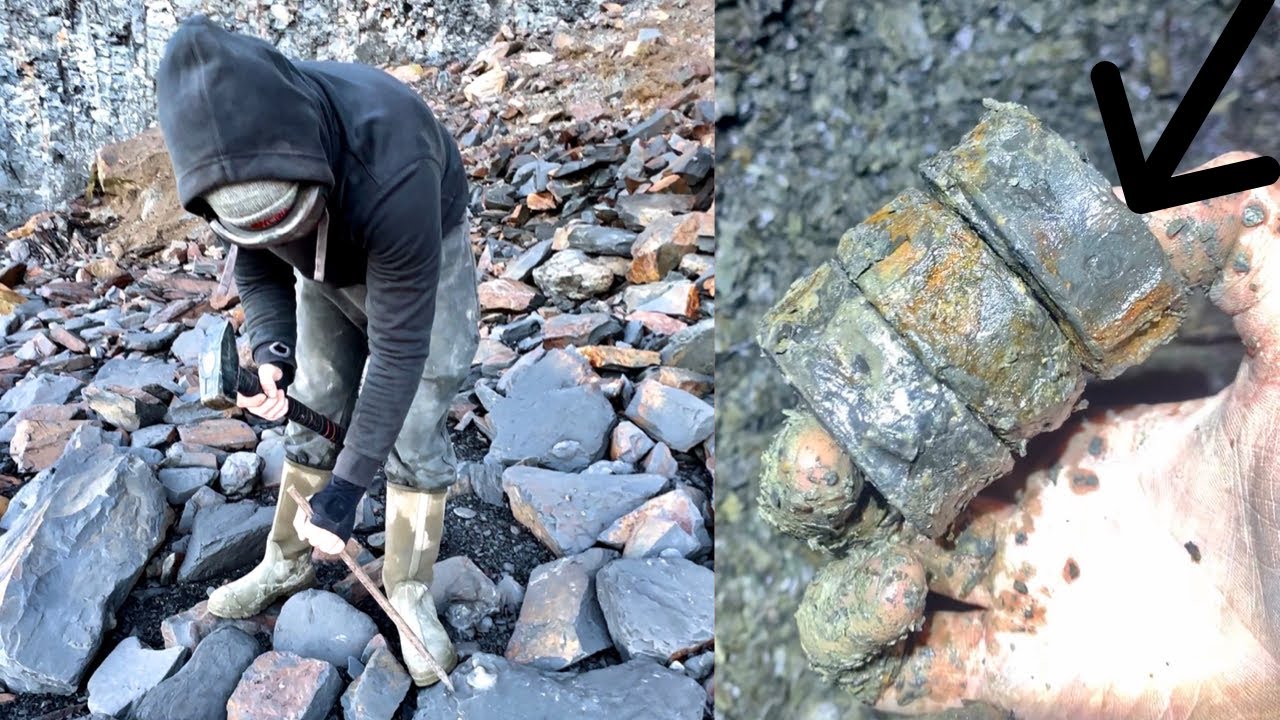 Shale FALL, Ichthyosaur BONES! Epic Outdoor Hunt! | Fossil Hunter - YouTube