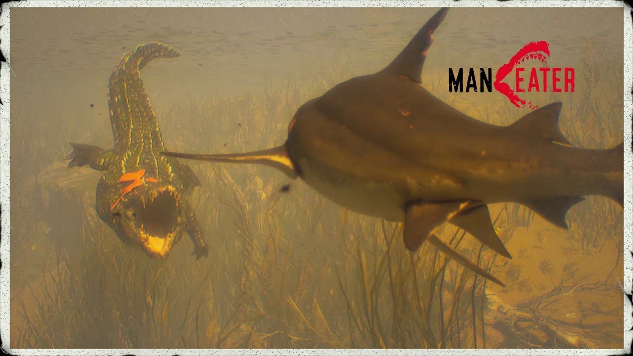 Maneater #2 - Первый аллигатор! - YouTube