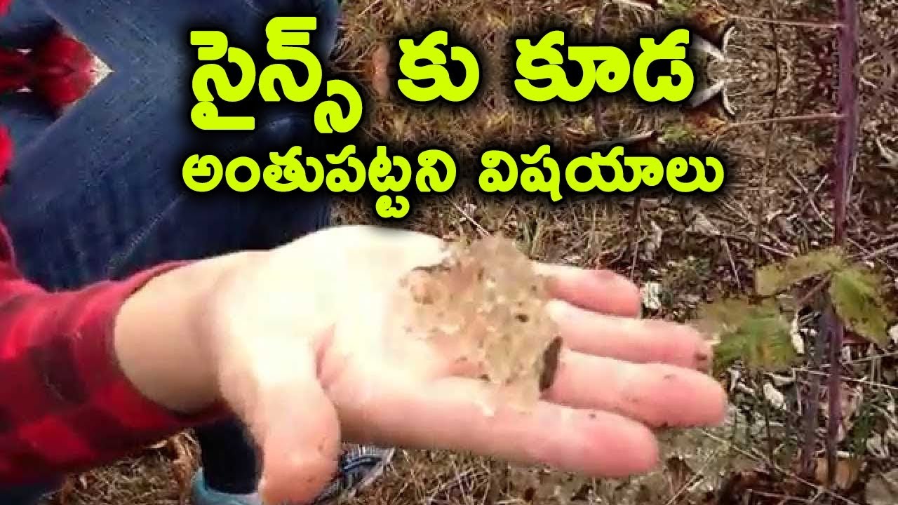 THINGS SCIENCE CANNOT EXPLAIN || T Talks - YouTube