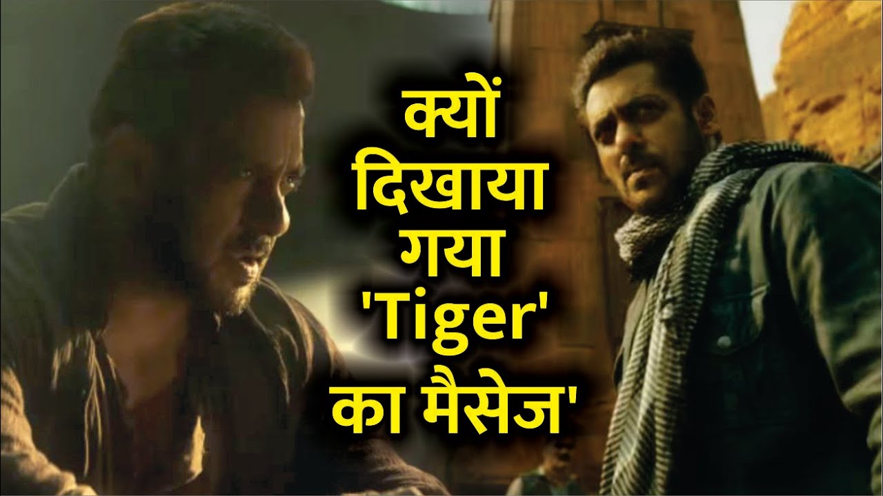 Salman Khan Talks About Tiger Ka Message | Tiger 3 Movie Big Updates ...
