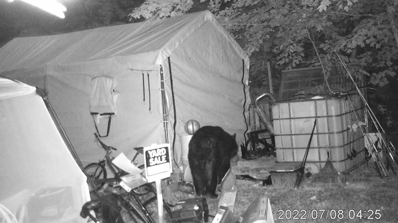 Video of Joe Rodweller, ME from Joe R. - YouTube