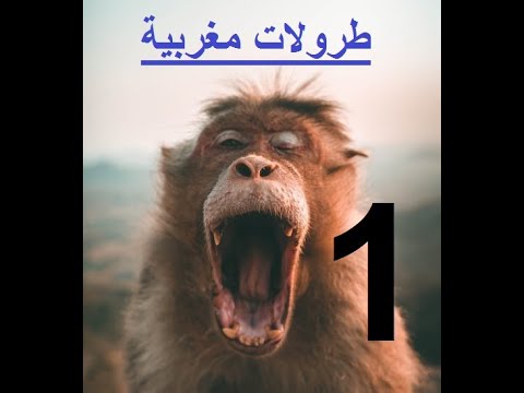 troll marocain طرولات مغربية 2020 N1 - YouTube
