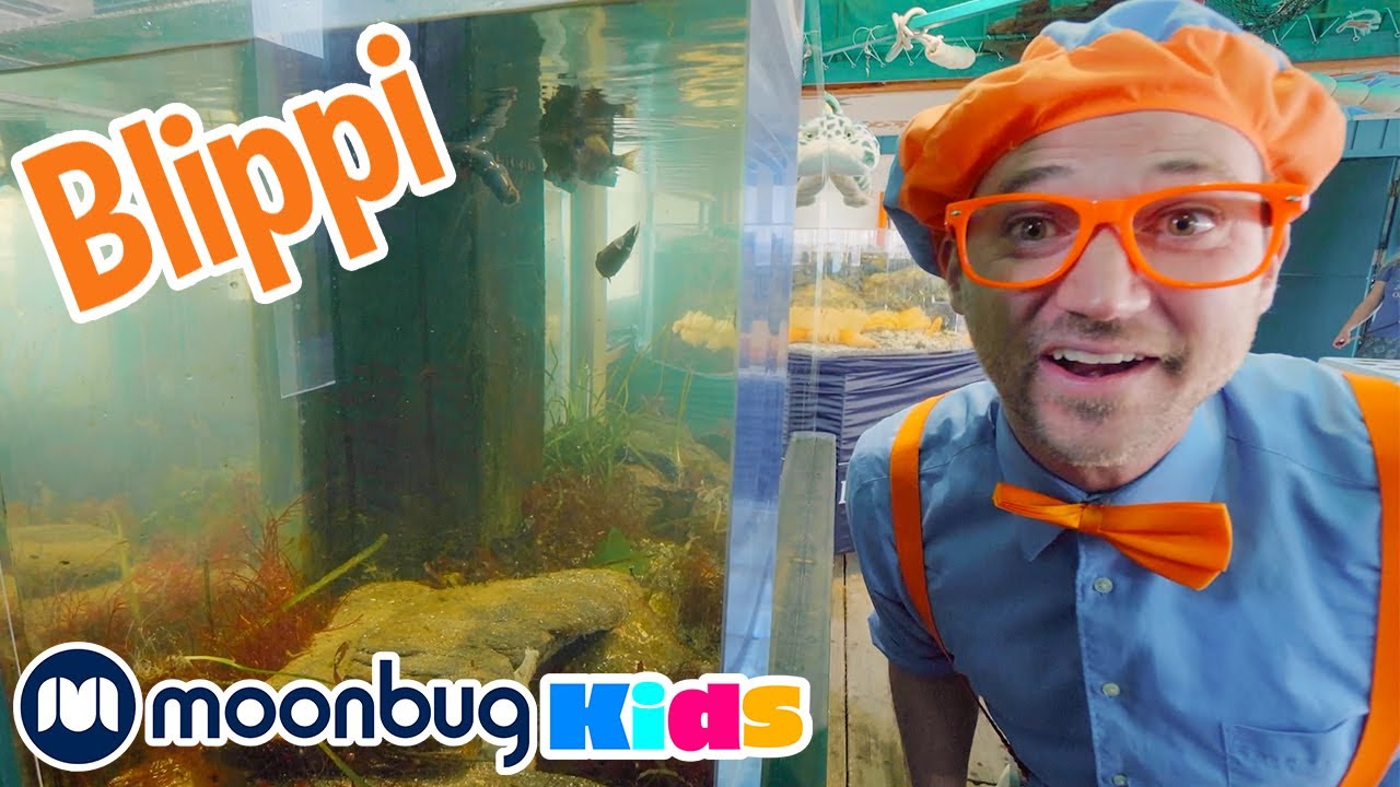 Meet the Ocean Friends With Blippi | बच्चों के गाने और कहानियां ...