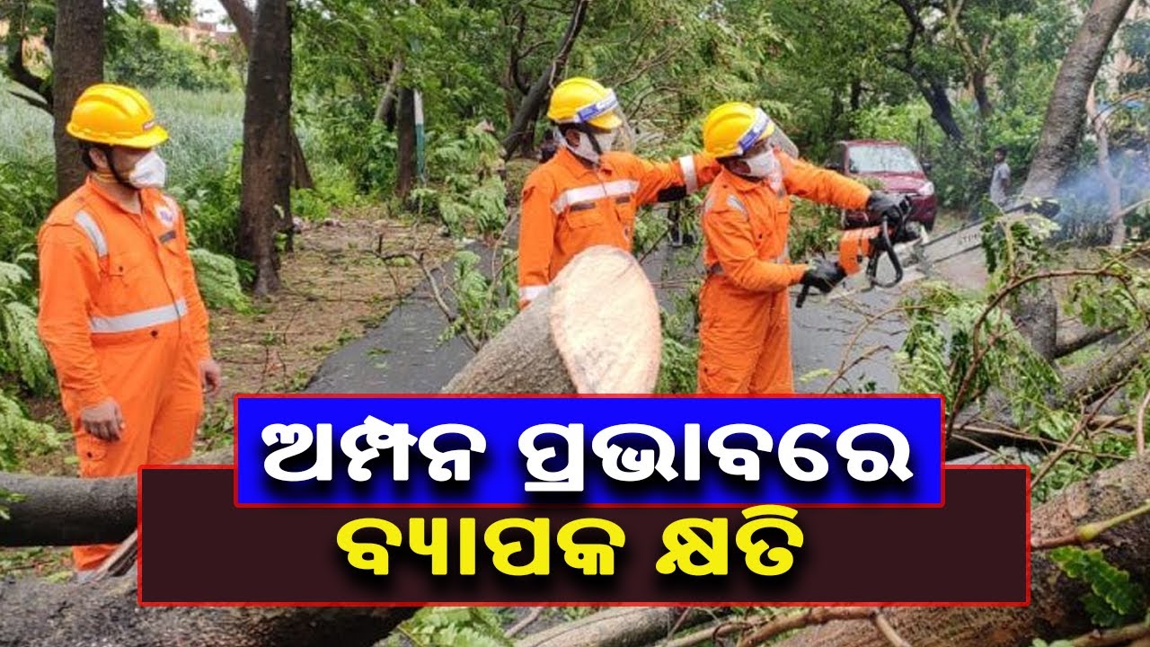 ODRAF team works hard to restore normalcy in Kolkata || KalingaTV - YouTube