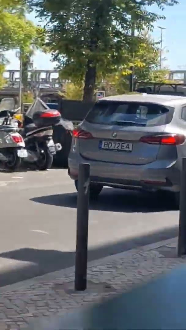 Café Interlude 02: The Thieving Sparrow!! (actual, thieving sparrow) # ...