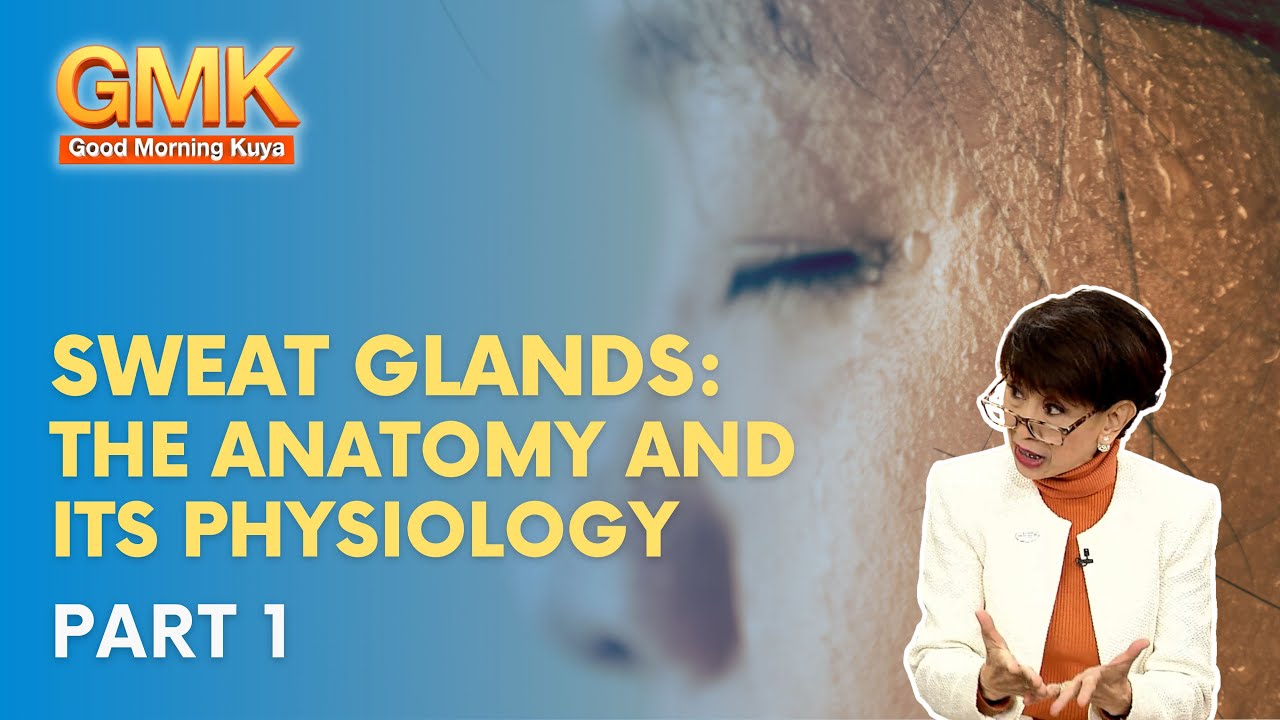 Sweat Glands: the Anatomy and Its Physiology | Usapang Pangkalusugan ...