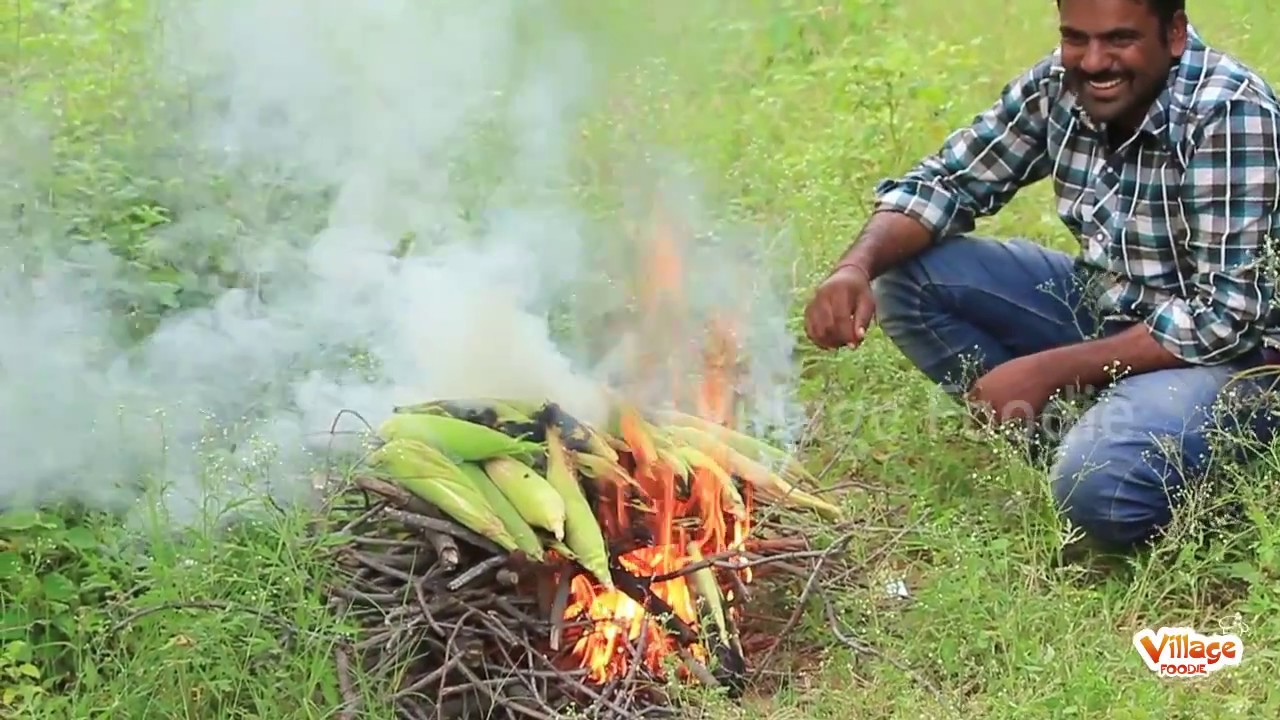 Farm Fresh Corn (Maize) Cooking in a Flame Village Foodie - YouTube