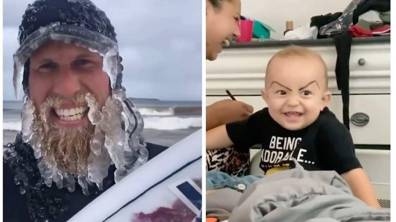 Totally random videos that make you relax | 131216 | Streetcan ...