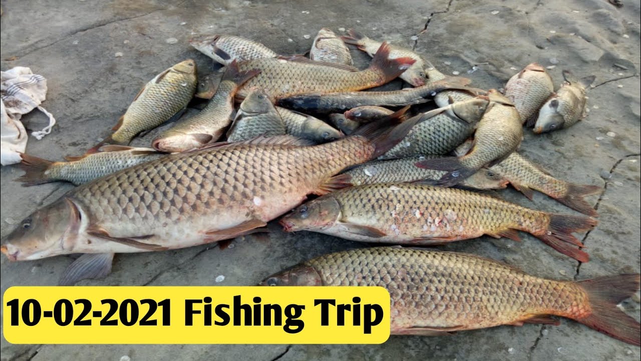 Kabootar Pahari Fishing Trip Feb 2021|Mangla Dam Fishing|Fish Hunting ...