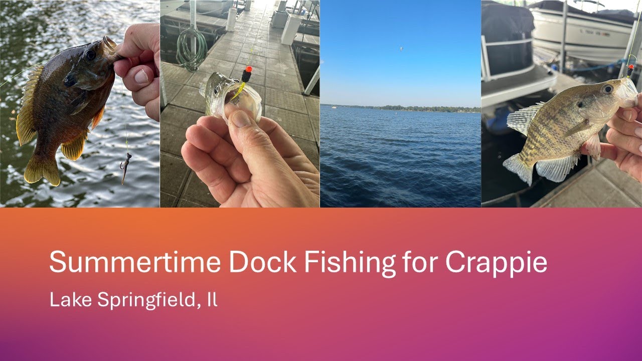 Fishing Lake Springfield Il 2024 Summertime Crappie in the Summer HEAT ...